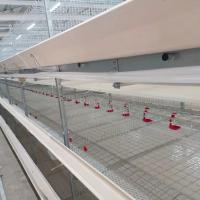 China H Type Broiler Chicken Cage with 19×15mm and 25.4×19mm Grid Options for Poultry Farming for sale