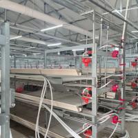 China H Type Broiler Chicken Cage with 19×15mm and 25.4×19mm Grid Options for Poultry Farming for sale