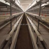 China H Type Broiler Chicken Cage with 19×15mm and 25.4×19mm Grid Options for Poultry Farming for sale