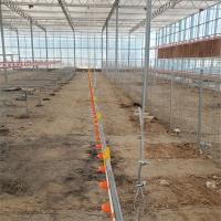 China Poultry Farming Floor System with Feeders and Drinkers for Broilers - 19×15mm & 25.4×19mm Mesh Options for sale