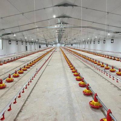 China Galvanized Broiler Chicken Floor System with 19x15mm & 25.4x19mm Mesh Grids for Poultry Farming for sale