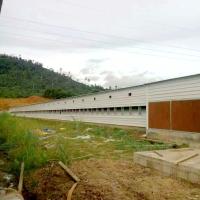 China Broiler Chicken Floor System with 19x15mm & 25.4x19mm Mesh Options for Large Poultry Farms for sale
