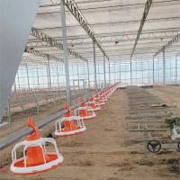 China Broiler Chicken Floor System with 19x15mm & 25.4x19mm Mesh Options for Large Poultry Farms for sale