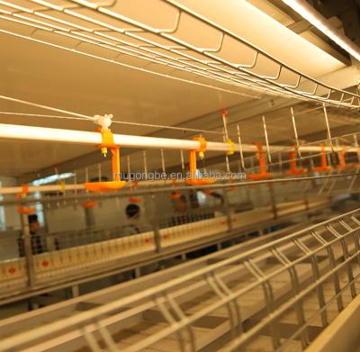 China Automatic Battery Broiler Chicken Cage System with 19×15mm & 25.4×19mm Mesh Options for Large Scale Poultry Farming for sale