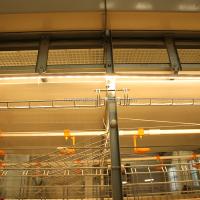 China Automatic Battery Broiler Chicken Cage System with 19×15mm & 25.4×19mm Grid Sizes for Commercial Farms for sale