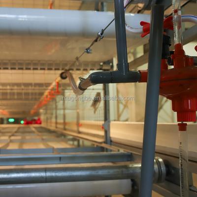 China Automated Broiler Farming System with 19×15mm & 25.4×19mm Mesh Chicken Cages and Automatic Feeders for sale