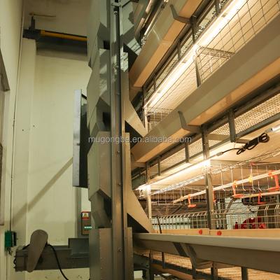 China Commercial Layer Broiler Farming System with 19×15mm & 25.4×19mm Mesh Sizes for Poultry Production for sale