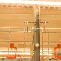 China Commercial Layer Broiler Farming System with 19×15mm & 25.4×19mm Mesh Sizes for Poultry Production for sale