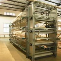 China H-Type Battery Layer Cage System for Poultry Farming - 19x15mm & 25.4x19mm Grid Sizes with Galvanized Steel Construction for sale