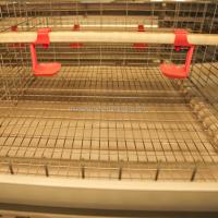 China H-Type Baby Breeder Chicken Cage System with 19×15mm & 25.4×19mm Mesh Options for Poultry Farming for sale