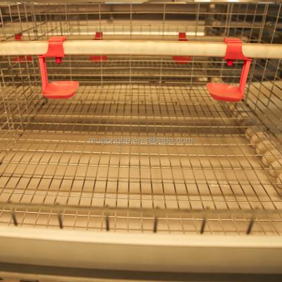 China Hot Dip Galvanized Baby Chick Cages with 19x15mm & 25.4x19mm Mesh Options and Automatic Equipment Integration for sale