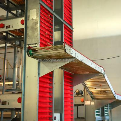 China Automatic Poultry Layer Cage System with 19×15mm & 25.4×19mm Mesh Sizes for Commercial Farming for sale