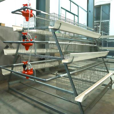 China A-Type Battery Layer Poultry Farm Equipment with 19x15mm & 25.4x19mm Mesh Sizes and Integrated Egg Collection System for sale