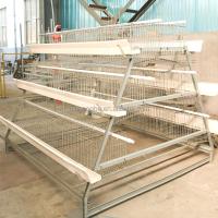 China 3/4 Tier Automatic Layer Chicken Cage System with 19x15mm and 25.4x19mm Mesh Options for Poultry Farming for sale