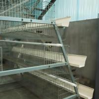 China Automatic A-Type Battery Cage System for Laying Chickens - 19x15mm & 25.4x19mm Mesh Sizes - Poultry Farming Equipment for sale