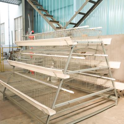 China A-Type Battery Layer Automatic Poultry Farming System with 19x15mm & 25.4x19mm Mesh Flooring for sale