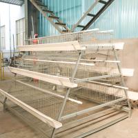 China A-Type Battery Layer Automatic Poultry Farming System with 19x15mm & 25.4x19mm Mesh Flooring for sale