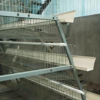 China A-Type Battery Layer Automatic Poultry Farming System with 19x15mm & 25.4x19mm Mesh Flooring for sale