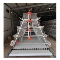 China Layer Chicken Battery Cage System - 19×15mm & 25.4×19mm Mesh Options for Poultry Breeding for sale