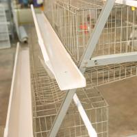 China Layer Chicken Battery Cage System - 19×15mm & 25.4×19mm Mesh Options for Poultry Breeding for sale