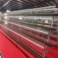 China Layer Chicken Battery Cage System - 19×15mm & 25.4×19mm Mesh Options for Poultry Breeding for sale