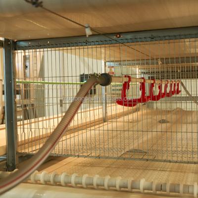 China Economic Layer Duck Cage System with 19x15mm & 25.4x19mm Mesh Options for Egg Layer and Meat Duck Breeding for sale