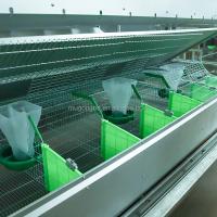 China Modern European Style Double Layer Rabbit Cage - 19x15mm & 25.4x19mm Mesh Sizes for Commercial Breeding for sale