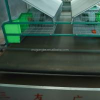 China Modern European Style Double Layer Rabbit Cage - 19x15mm & 25.4x19mm Mesh Sizes for Commercial Breeding for sale
