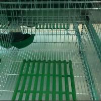 China Modern European Style Double Layer Rabbit Cage - 19x15mm & 25.4x19mm Mesh Sizes for Commercial Breeding for sale