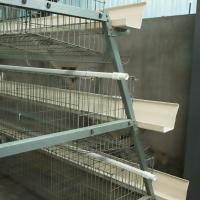 China Hot Dip Galvanized Steel A-Type Layer Poultry Cage System with 19×15mm and 25.4×19mm Grid Sizes for Automatic Chicken Farming for sale