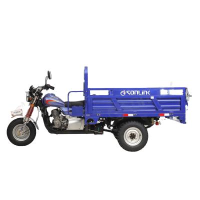 China Africans Like Custom 3 Wheel Cargo Gasoline Motorcycles Tricycle for sale