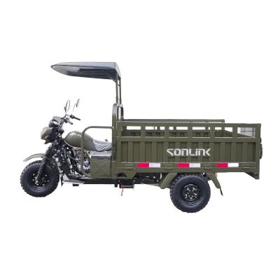China Load Heavy 150cc 200cc Strong Power Carry Cargo Safety and Stability Tricycle for sale