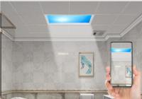 China Topsung Artificial Skylight Led Panel Light Office Frame Ceiling Light 300x1200 Blue Sky White Cloud for sale