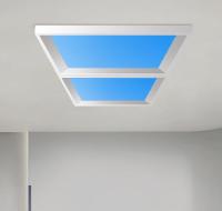 China Topsung blue sky cloud commercial led panel light 2*2 FT 600*600mm Hall hospital sanatorium for sale