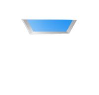 China Topsung blue sky cloud commercial led panel light 2*2 FT 600*600mm Hall hospital sanatorium for sale
