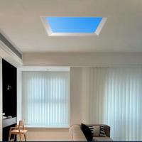 China Topsung blue sky cloud commercial led panel light 2*2 FT 600*600mm Hall hospital sanatorium for sale