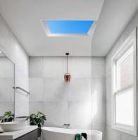 China Topsung blue sky cloud commercial led panel light 2*2 FT 600*600mm Hall hospital sanatorium for sale