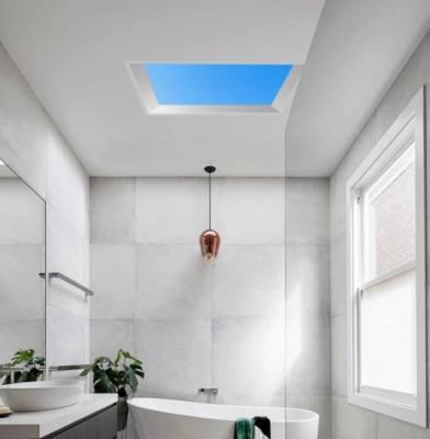 China Topsung blue sky cloud commercial led panel light 2*2 FT 600*600mm Hall hospital sanatorium for sale