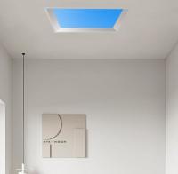 China Topsung blue sky cloud commercial led panel light 2*2 FT 600*600mm Hall hospital sanatorium for sale