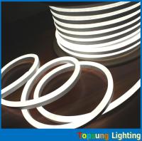 China mini newest 220v neon flex led lighting for building decoration for sale