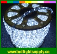 China driver dimmer led 24v 1/2'' 2 wire duralight with waterproof IP65 for sale