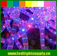 China 220v DIP 3 wires 11x17mm flat led rope lights with translucent PVC for sale