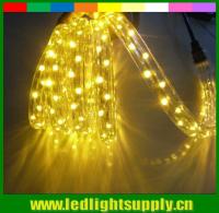 China 220v DIP 3 wires 11x17mm flat led rope lights with translucent PVC for sale