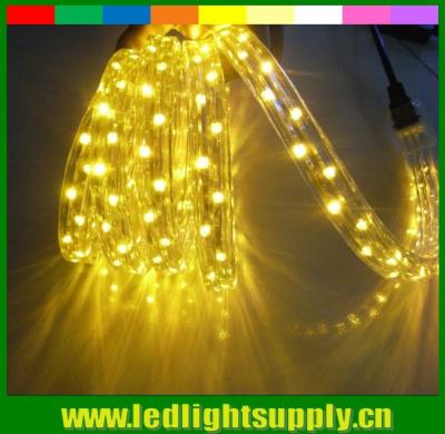 China 220v DIP 3 wires 11x17mm flat led rope lights with translucent PVC for sale