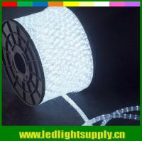 China 220v DIP 3 wires 11x17mm flat led rope lights with translucent PVC for sale