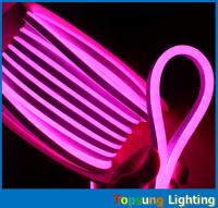 China 24v/12v rgb led light 8.5*17mm size neon flex light with ce rohs ul certification for sale