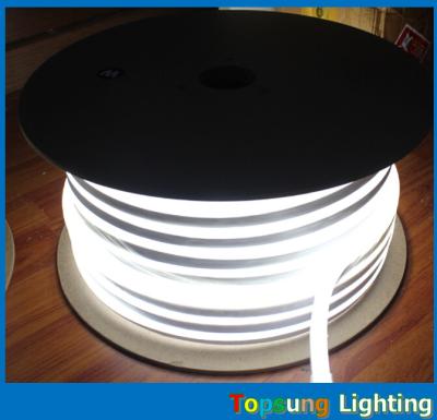 China Various colors 10*18mm size led neon light with 110/220/24 voltage for sale