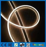 China 8.5*18mm double-sided contemporary led mini neon lights with waterproof for sale