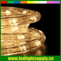 China LED duralight 1/2'' 2 wire 110v/220v flat rope light for outdoor use for sale