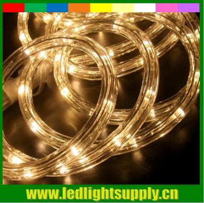 China Flat rope flex light 1/2'' 2 wire 12/24v building decoration led duralight for sale